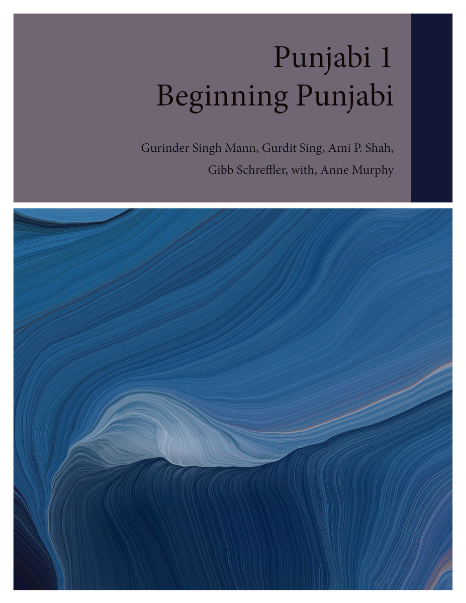 Beginning Punjabi (An Introduction to Punjabi) – LAD Bookstore